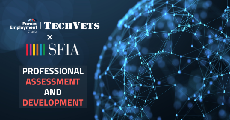 How the SFIA Framework functions as professional assessment and ...