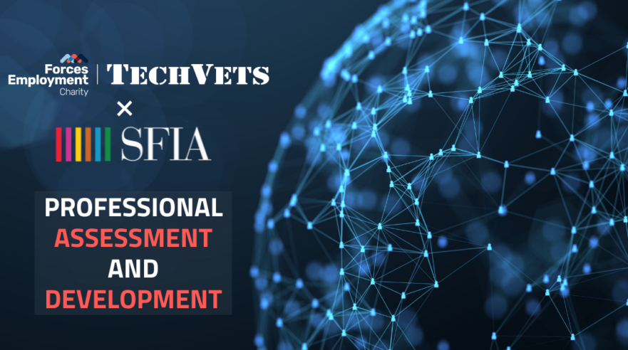 How the SFIA Framework functions as professional assessment and ...